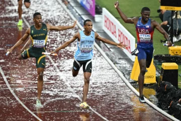 Driving License Renewal in Botswana [September, 2025] - Matshwao BW